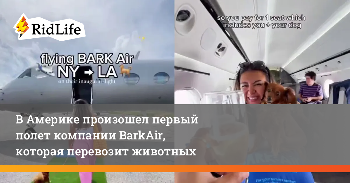 В Америке произошел первый полет компании BarkAir, которая перевозит ...